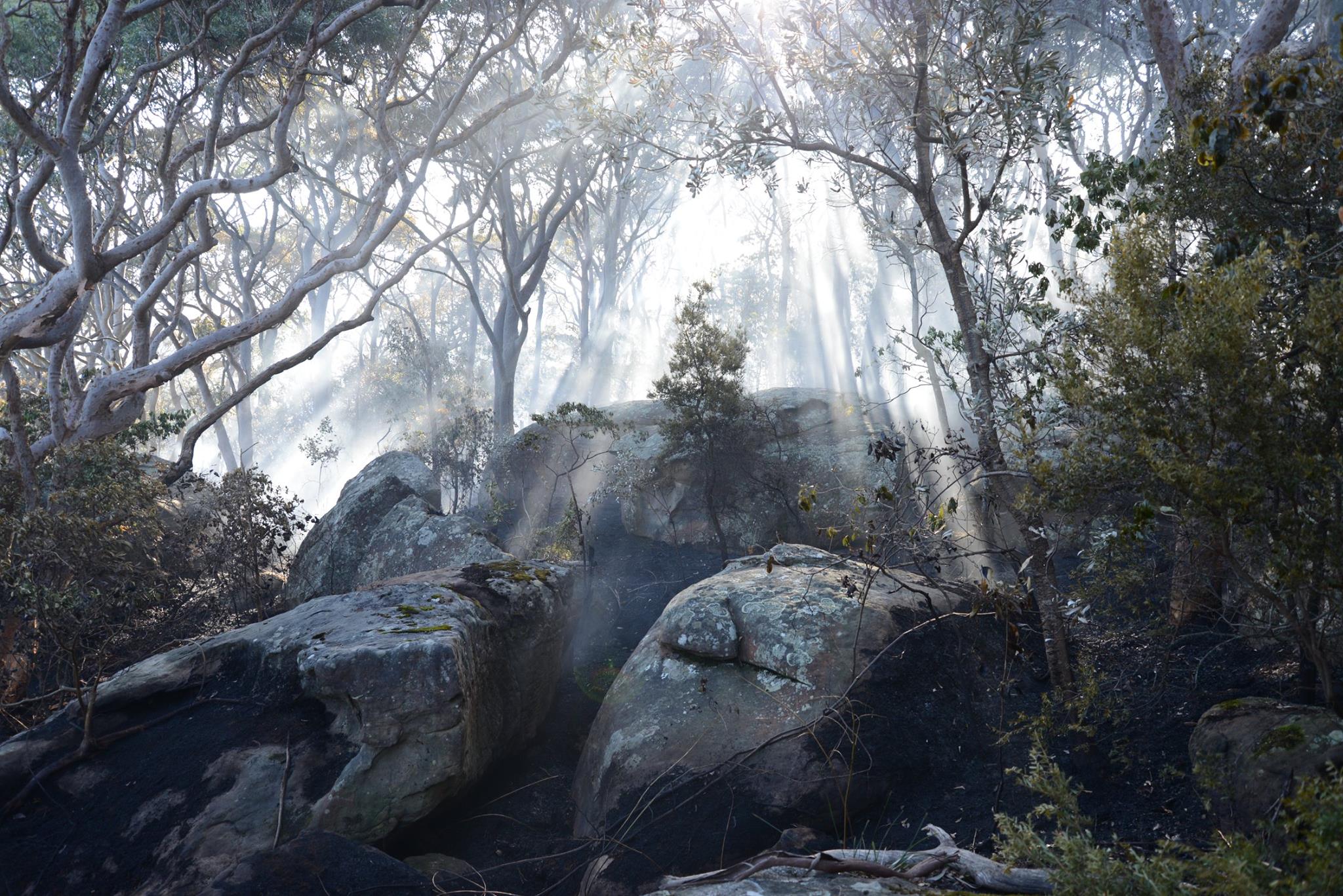 rocks – Curious Christian