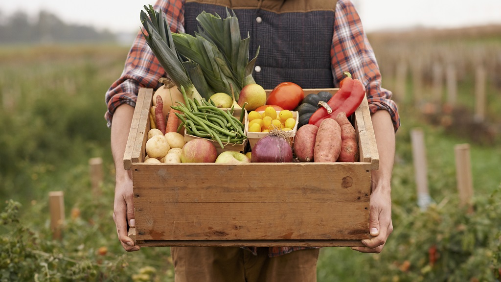 Blessings for the harvest season – Curious Christian