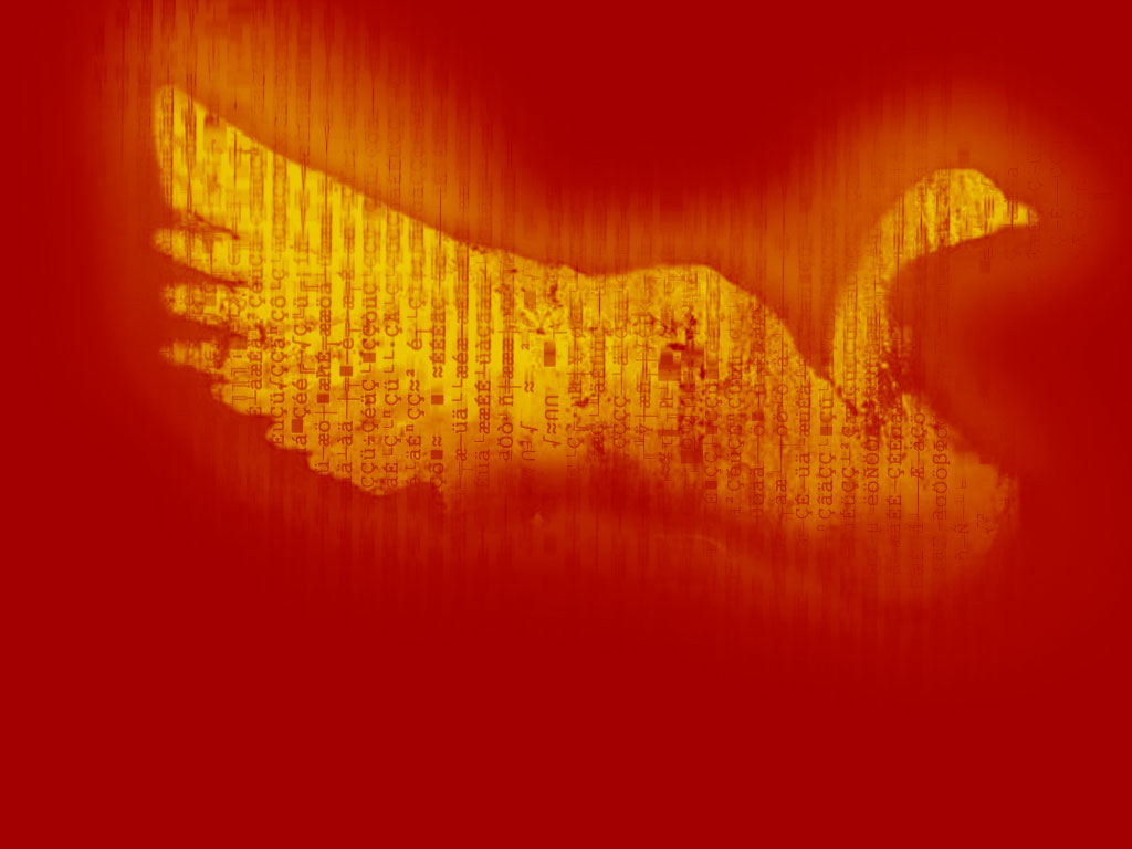 pentecost-wild goose – Curious Christian