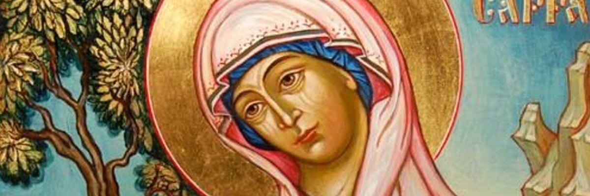 The quick comeback of Amma Sarah – Curious Christian