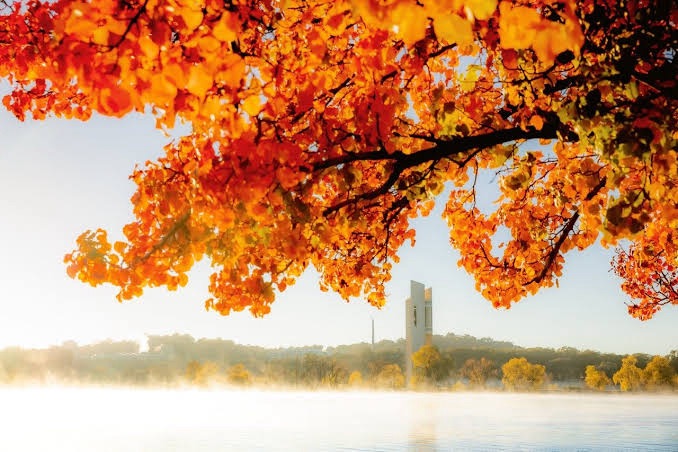 In the Fading Summer Sun – Curious Christian