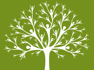 Ecclesiology and Language: How Scripture Speaks About the Church ...